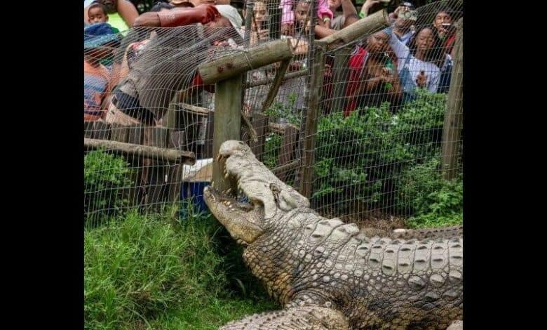 Best 124th birthday bash for Henry | South Coast Herald