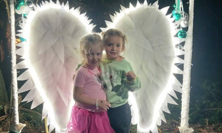 Lights in the Forest a magical family outing [PICS] | South Coast Herald
