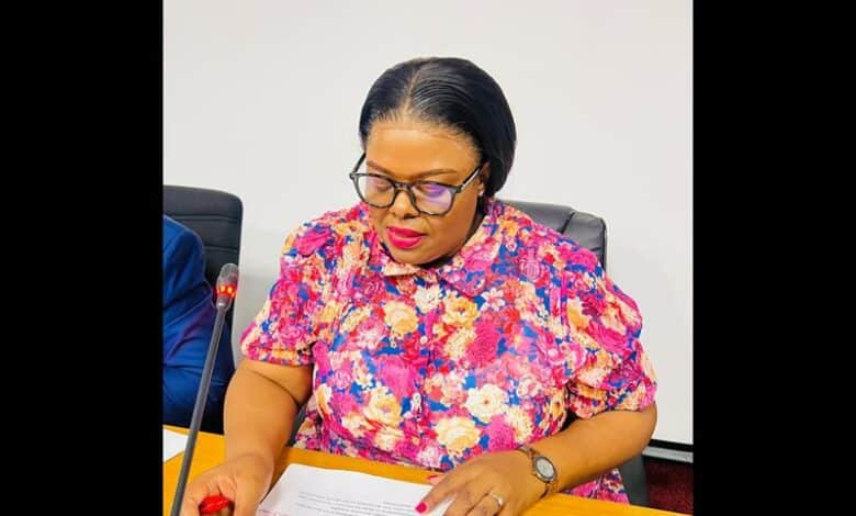 Umdoni presents mid-year report to council | South Coast Herald