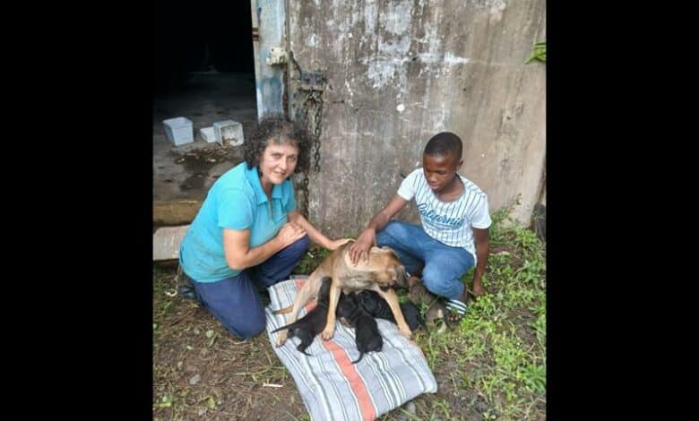 Brave Lumko saves pups from drowning | South Coast Herald