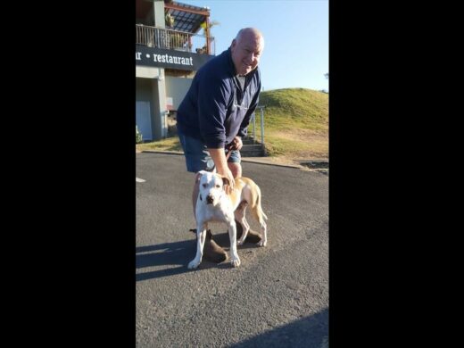 Let's talk about Sardine Run 2025 | South Coast Herald