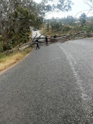 WATCH: Wind damage on South Coast, road closed due to snow in Kokstad ...