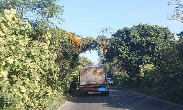 Please address road maintenance on R102 between Sea Park and Umzumbe ...