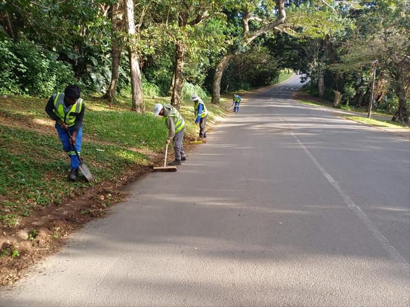 BRONWYN TANNER: Tuning In - Making a clean sweep of Pennington Drive ...