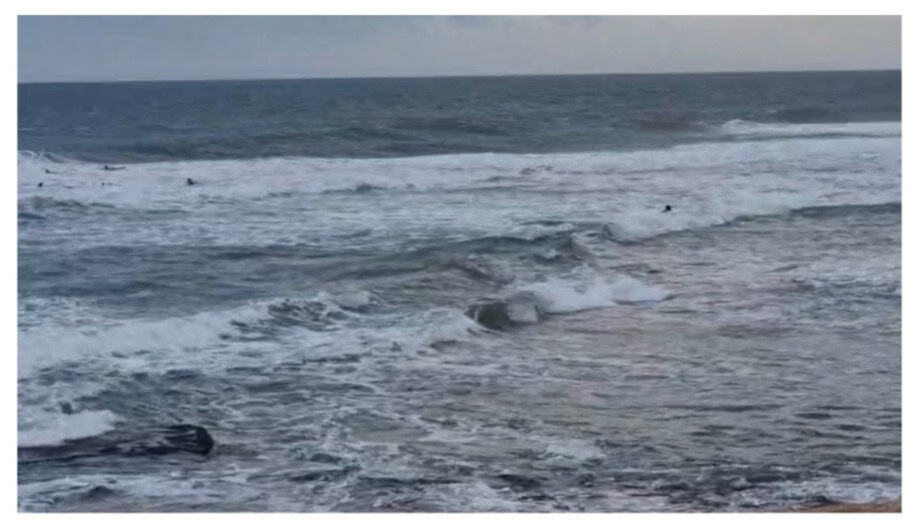 Pennington beach update: 3 dead, 3 missing, 1 rescued | South Coast Herald