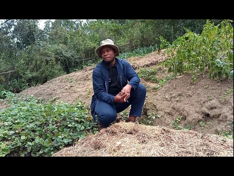 Farmers practise agroecology for nutritious food security | South Coast ...