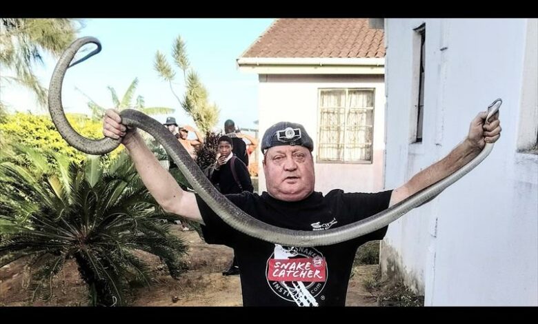 No snack for snake at tuck shop | South Coast Herald