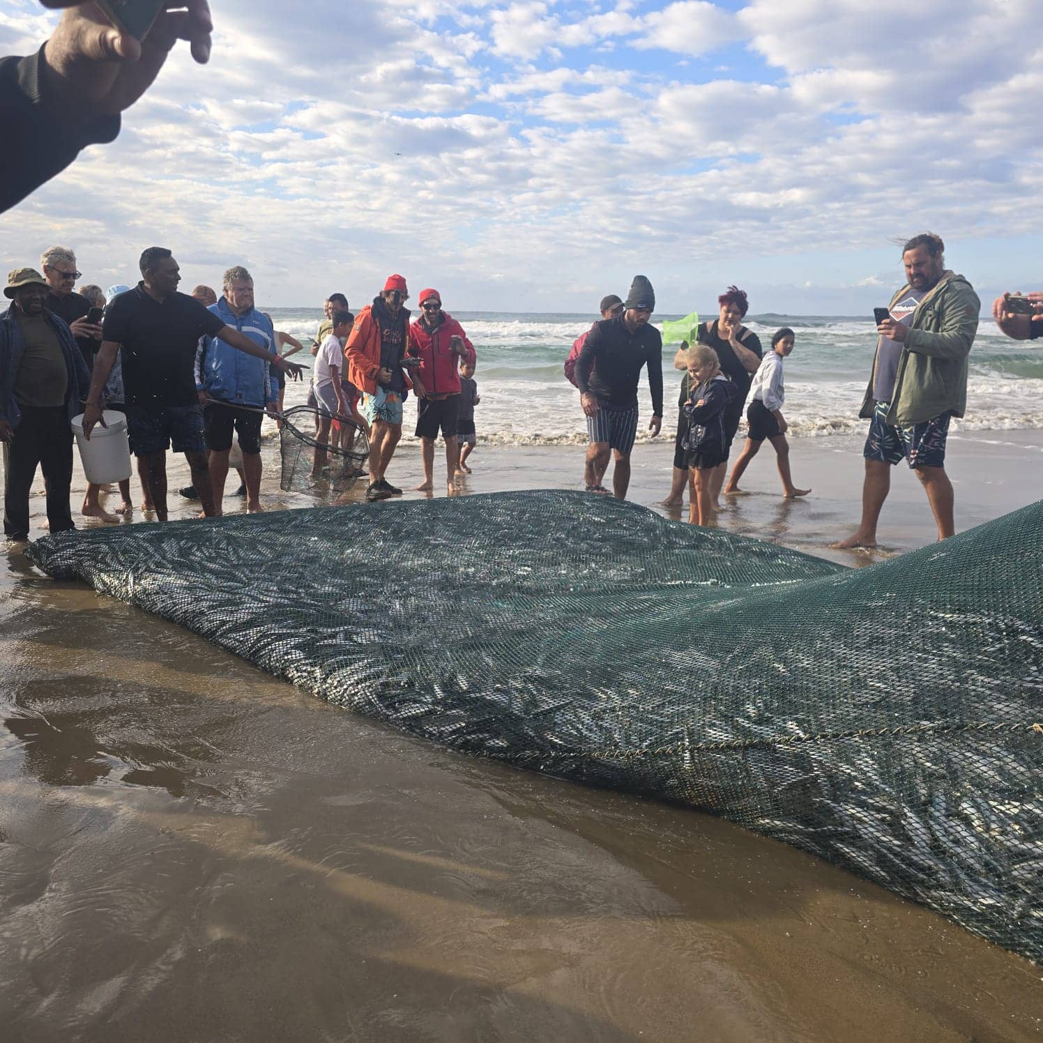WATCH: First sardine net hauled in at Port Edward | South Coast Herald
