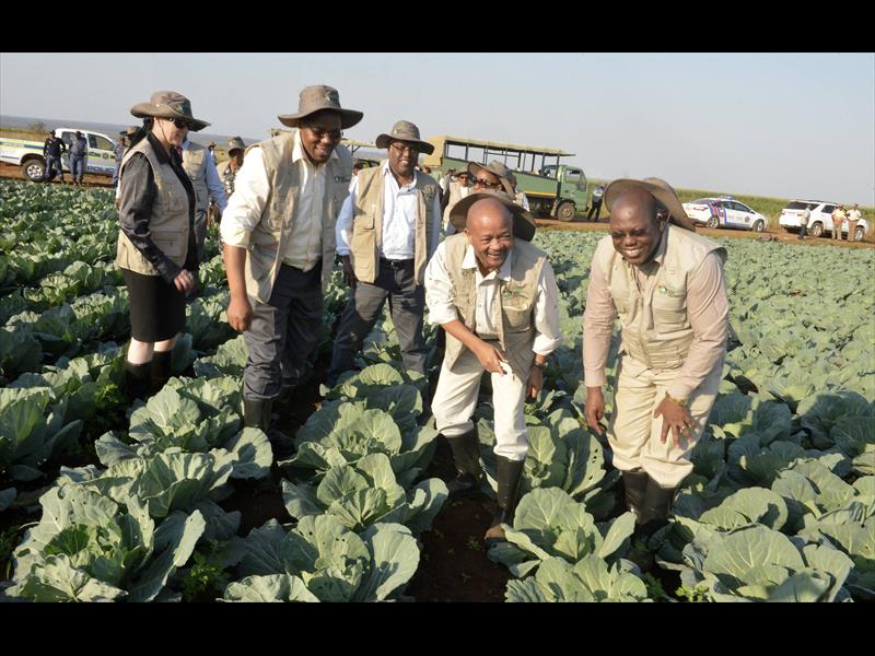 Setting up an 'agrarian revolution' | Zululand Observer
