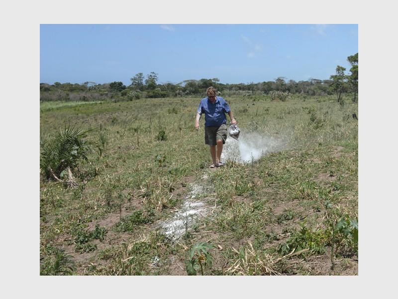 Development kicks off in Dukuduku Forest | Zululand Observer