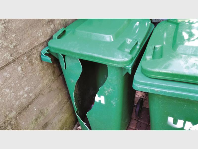Dustbin woes a never ending problem | Zululand Observer