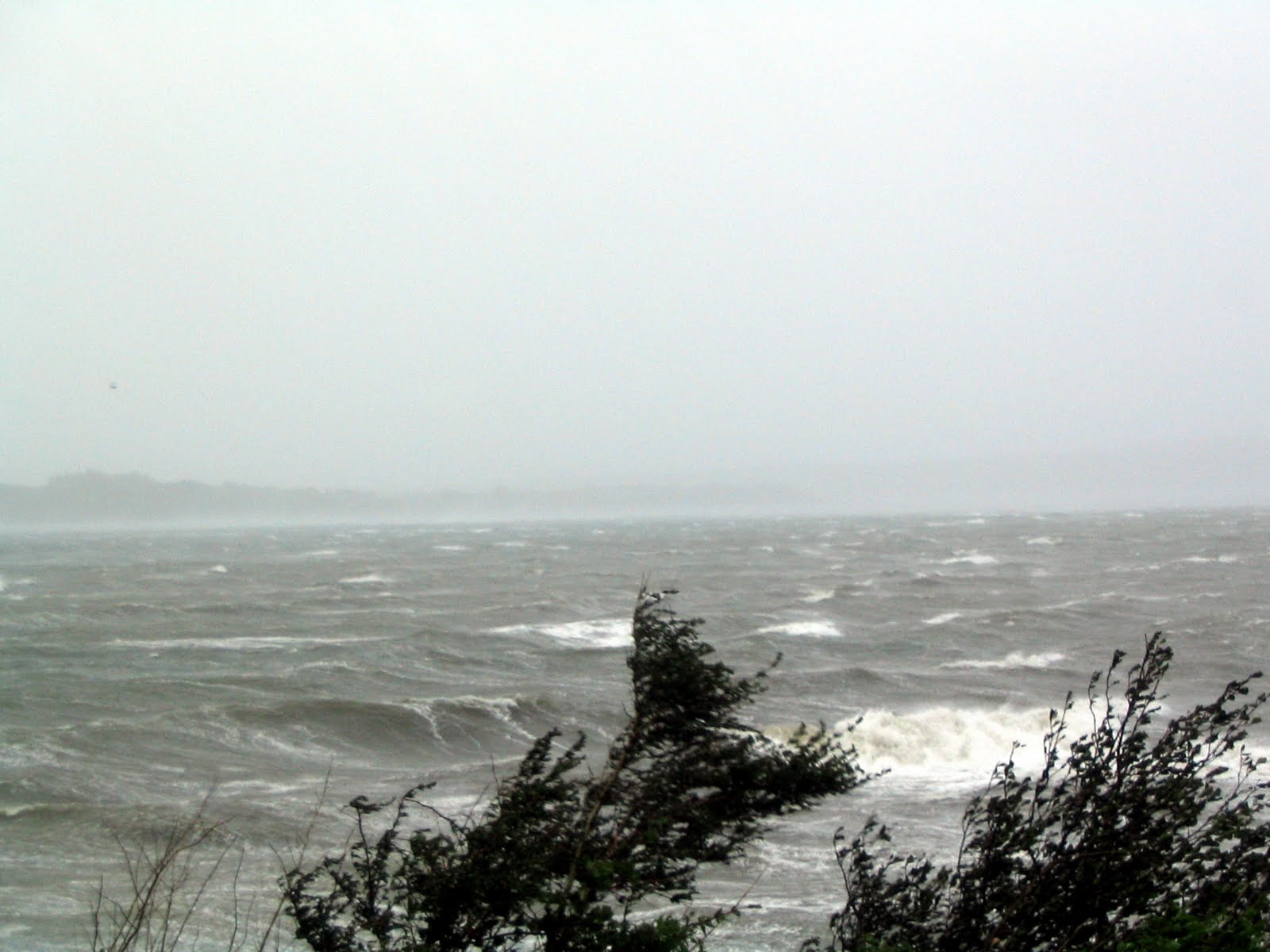 WEATHER WARNING: Heavy winds across KZN | Zululand Observer