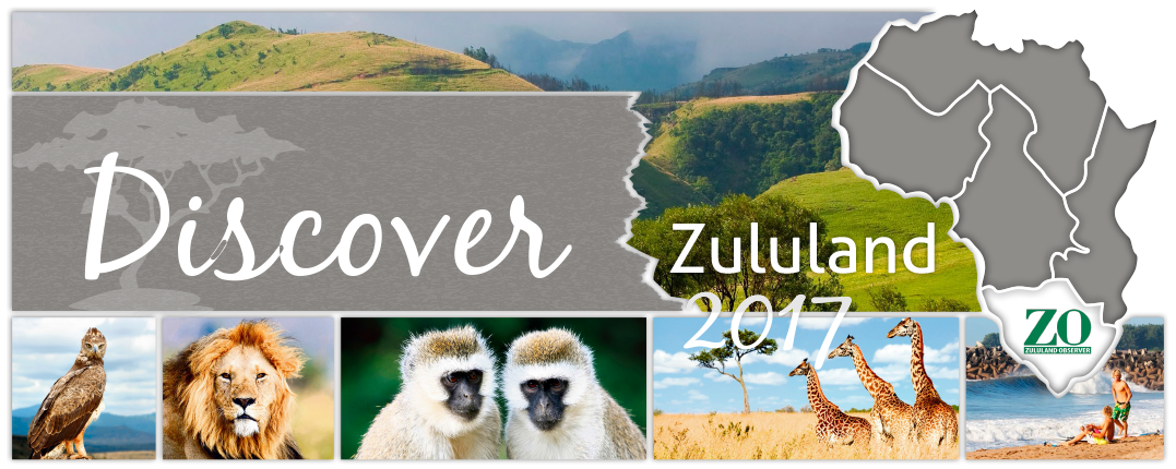 Discover Zululand | Zululand Observer