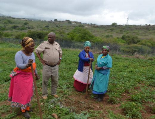 Nkandla to become an Agricultural area | Zululand Observer