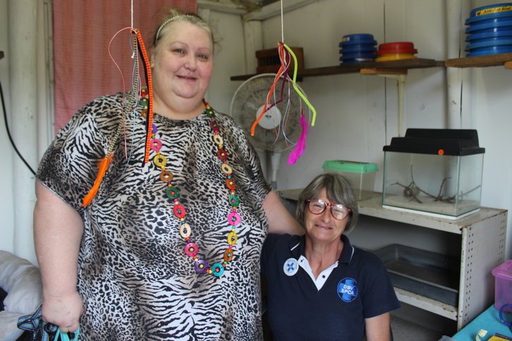 SPCA open day draws the crowds | Zululand Observer