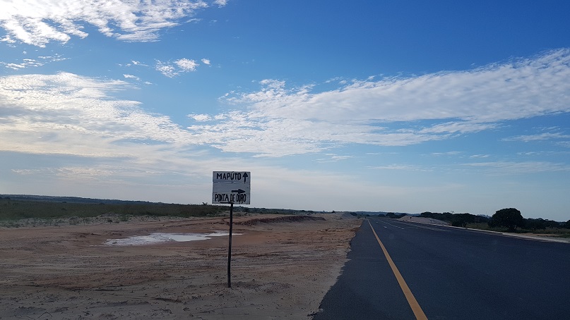 WATCH: Wildlife sightings from new Maputo road | Zululand Observer