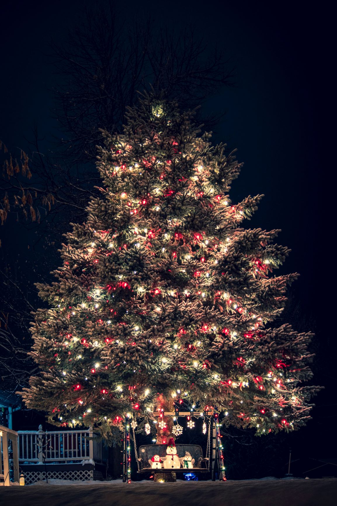 The origin of the Christmas tree | Zululand Observer