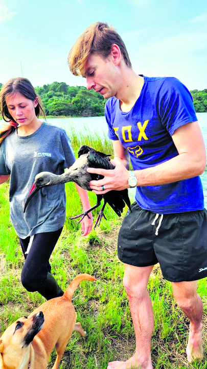 Youths rescue ensnared bird in Meerensee | Zululand Observer