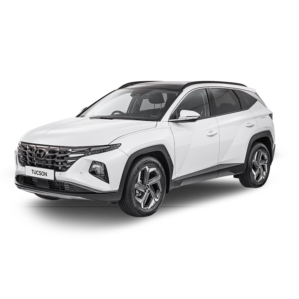 Richards Bay Multi Franchise: Hyundai | Zululand Observer