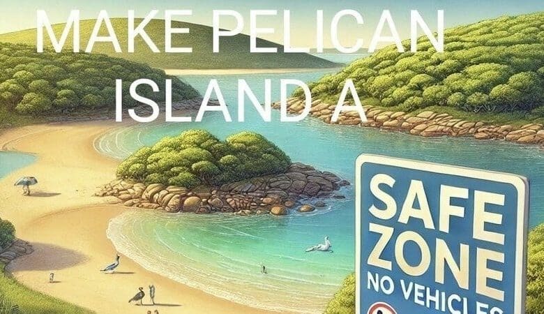 Call to action: Petition launched to protect Pelican Island | Zululand ...