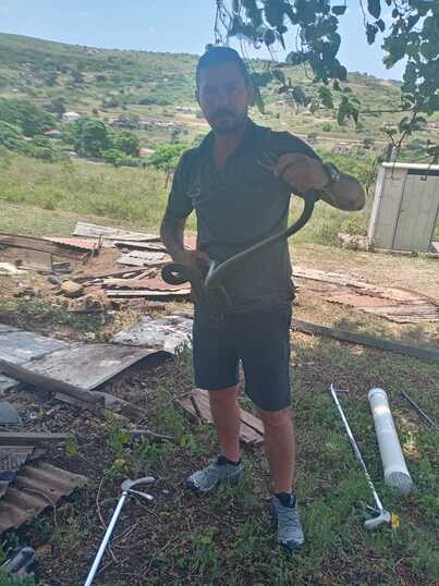 Scorching heat brings not so welcome slithery guest | Zululand Observer