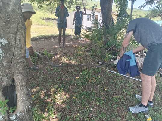 Scorching heat brings not so welcome slithery guest | Zululand Observer