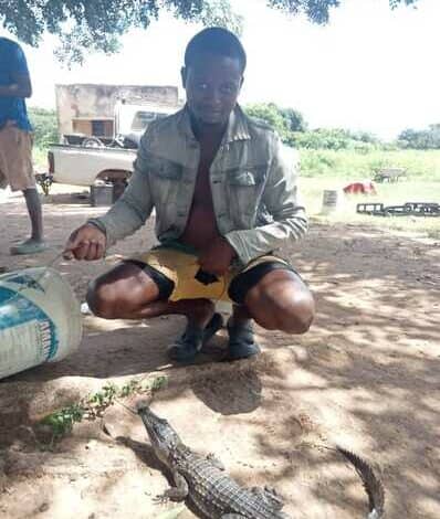 Mtuba man nets croc during fishing expedition | Zululand Observer