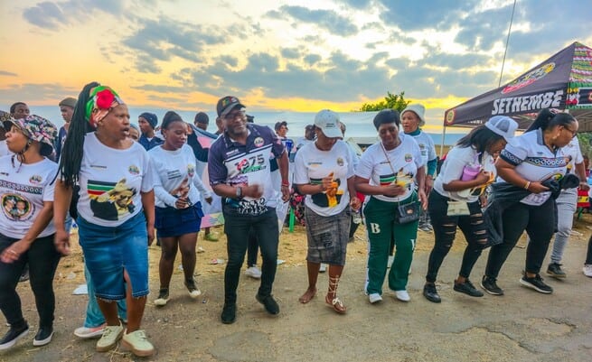 IFP retains highly contested KZN ward | Zululand Observer