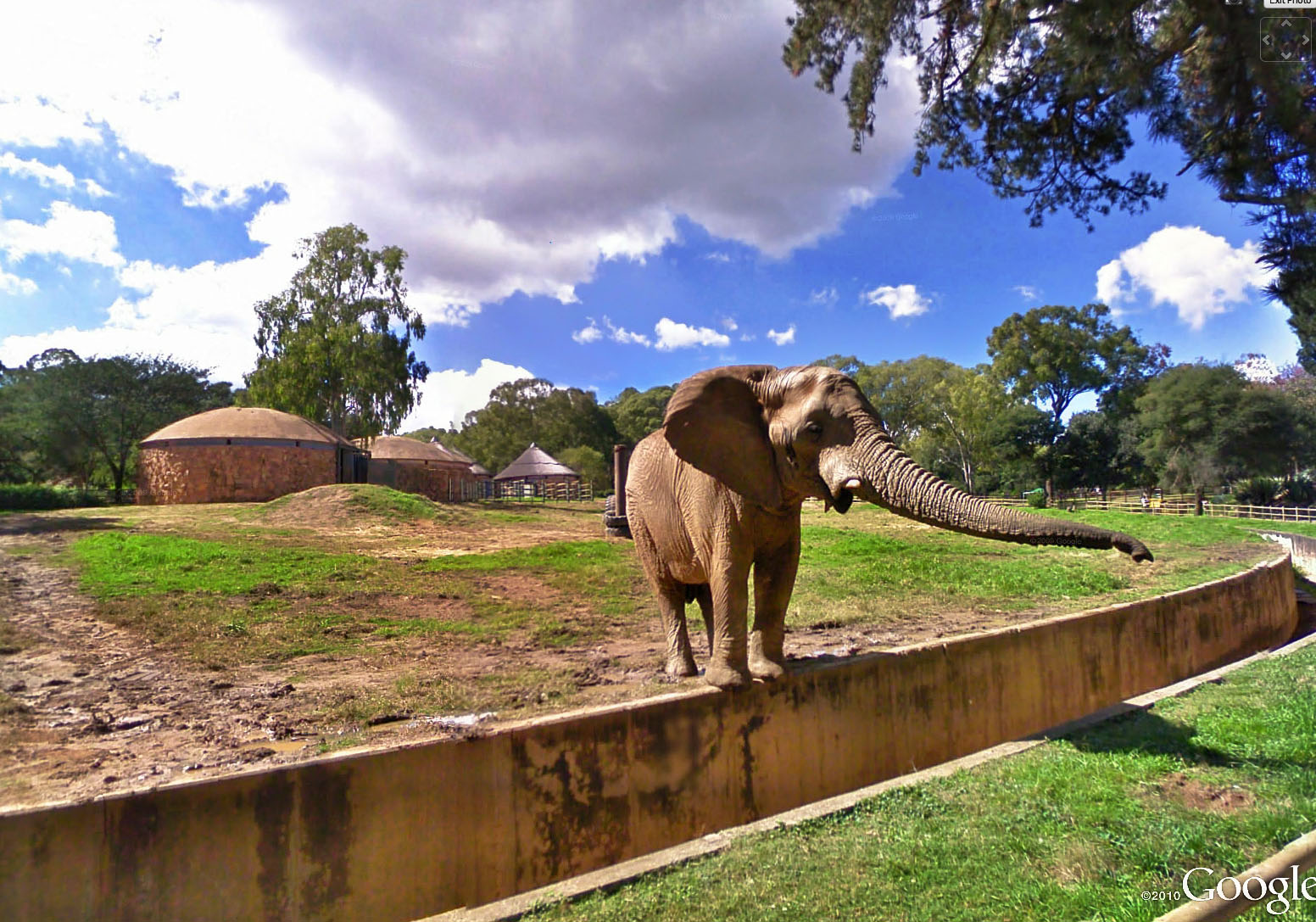 Zoo operations return to normal | Midrand Reporter