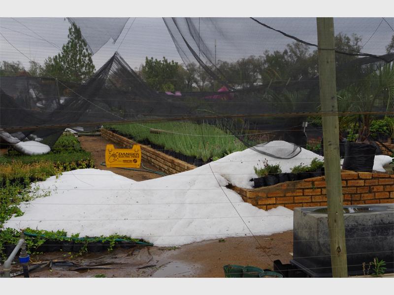 Tips on how to prepare for rain and hailstorms | Midrand Reporter