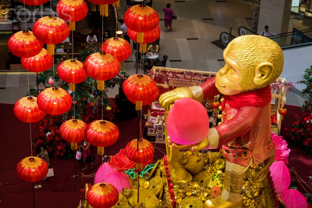 Take a quantum leap this year of the Fire Monkey | Midrand Reporter