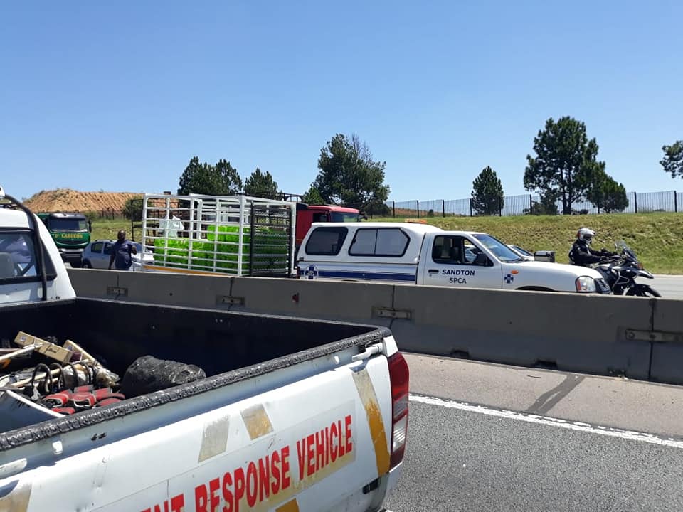Midrand SPCA gives an update on the overturned vehicle carrying ...