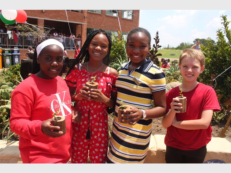 Special spekboom introduced at Curro Halfway House | Midrand Reporter