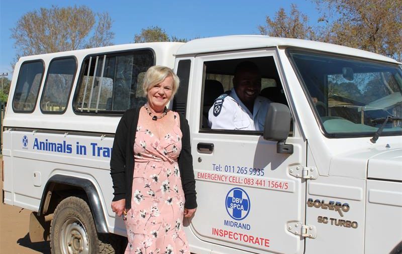 Help Midrand SPCA save animals | Midrand Reporter