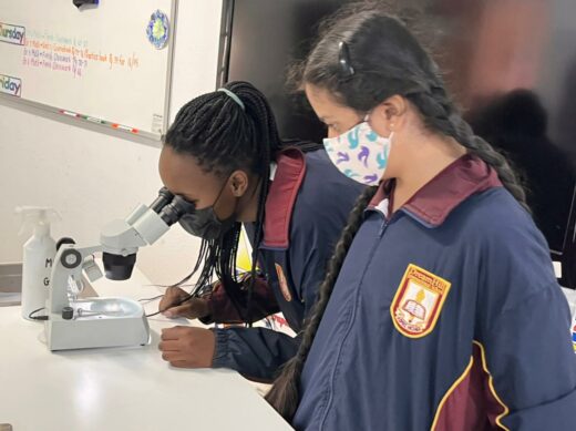 DreamHill aims to give your child the best opportunities | Midrand Reporter