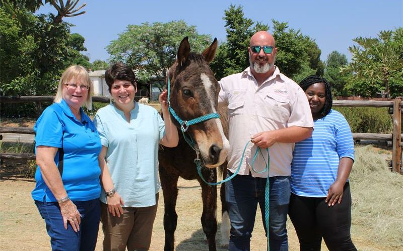 Animals in Distress celebrates World Animal Day | Midrand Reporter