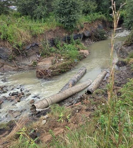 Watch: Waterfall Dam faces ecological crisis due to sewage spill ...