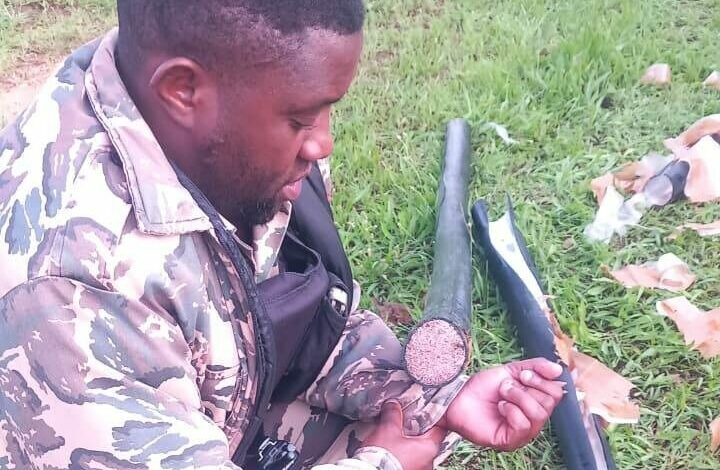 Copper thieves scatter as Ria Sebetsa Security gallops in | Midrand ...