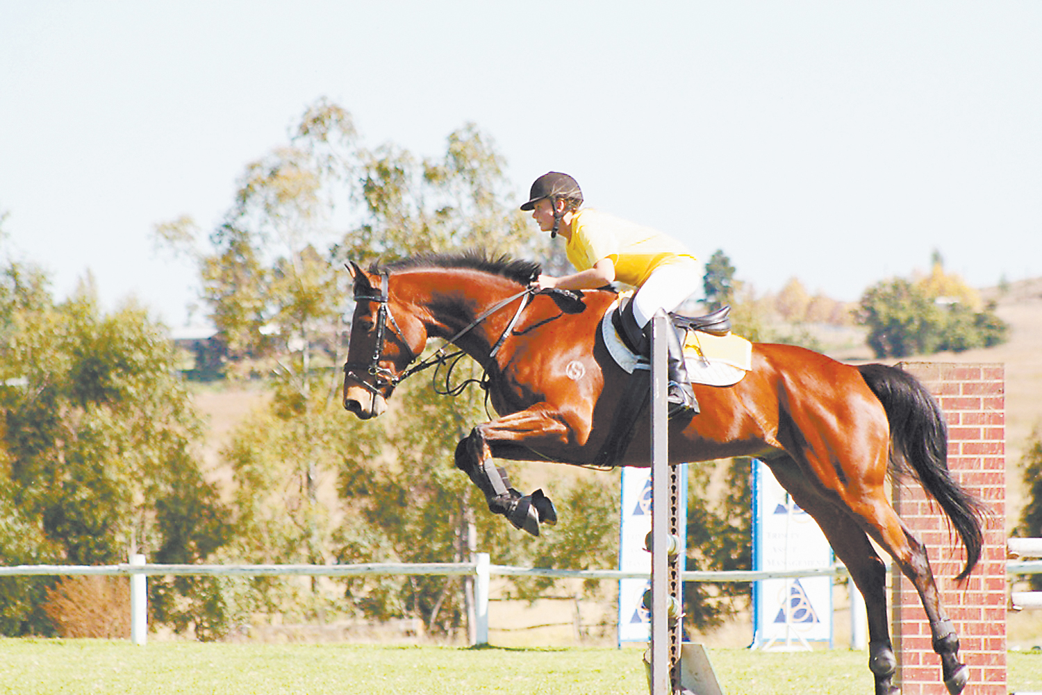 Riders excel at eventing show | Northern Natal News