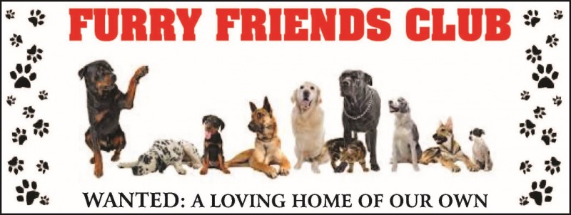 Welcome to the Furry Friends Club | Northern Natal News