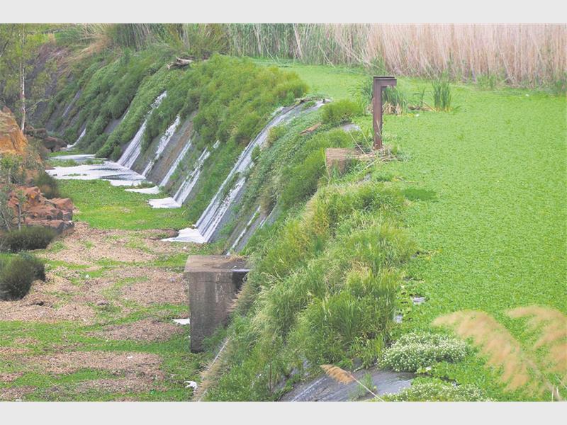 A four-step plan to 'fix' Ncandu River | Northern Natal News