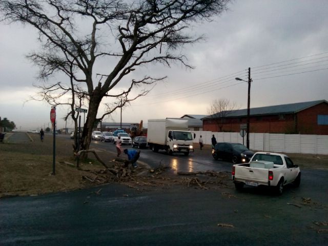Heavy winds blow down trees and geysers | Northern Natal News