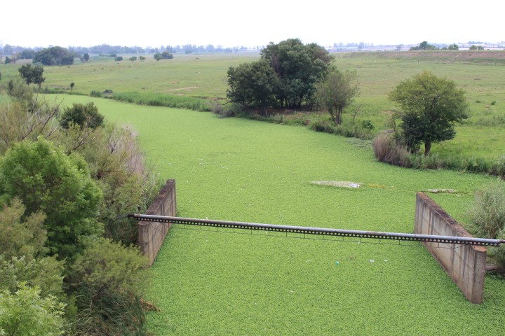 Ncandu River clean-up switches into high gear | Northern Natal News