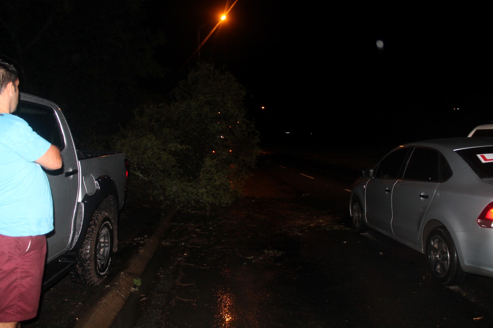 Tree blocks lane after crashing down in Ruby Gailey Drive | Northern ...