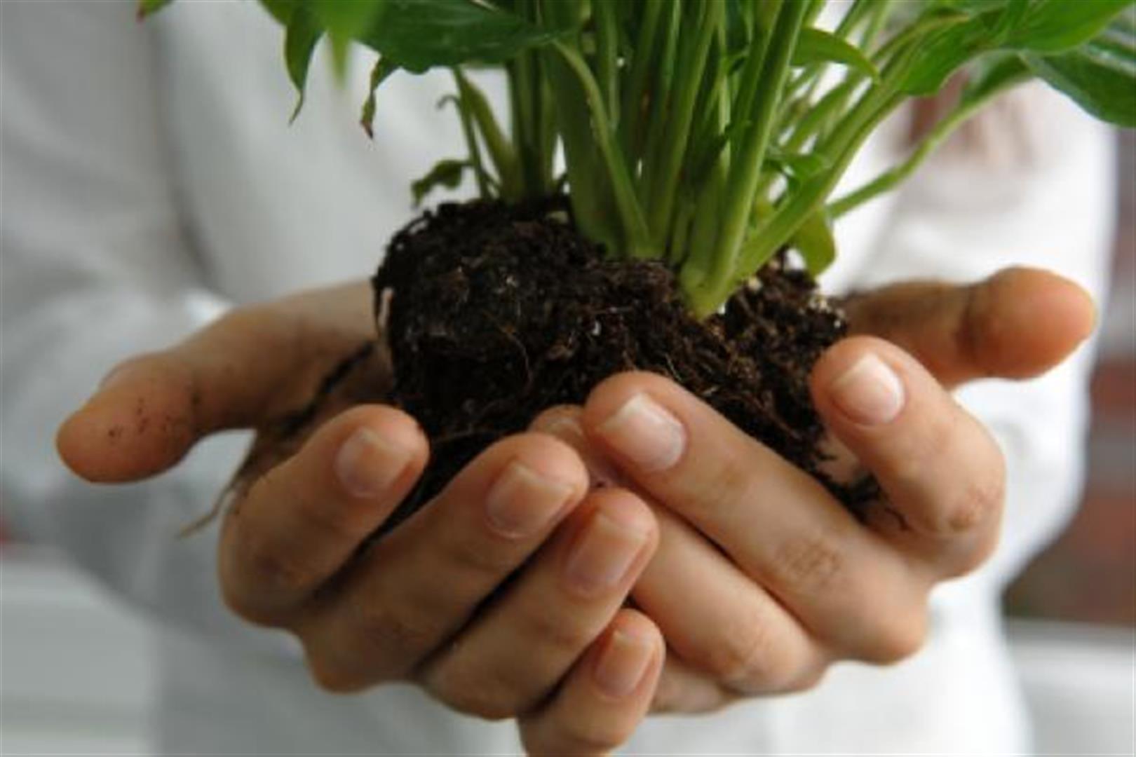 Why is Earth Day important? | Northern Natal News