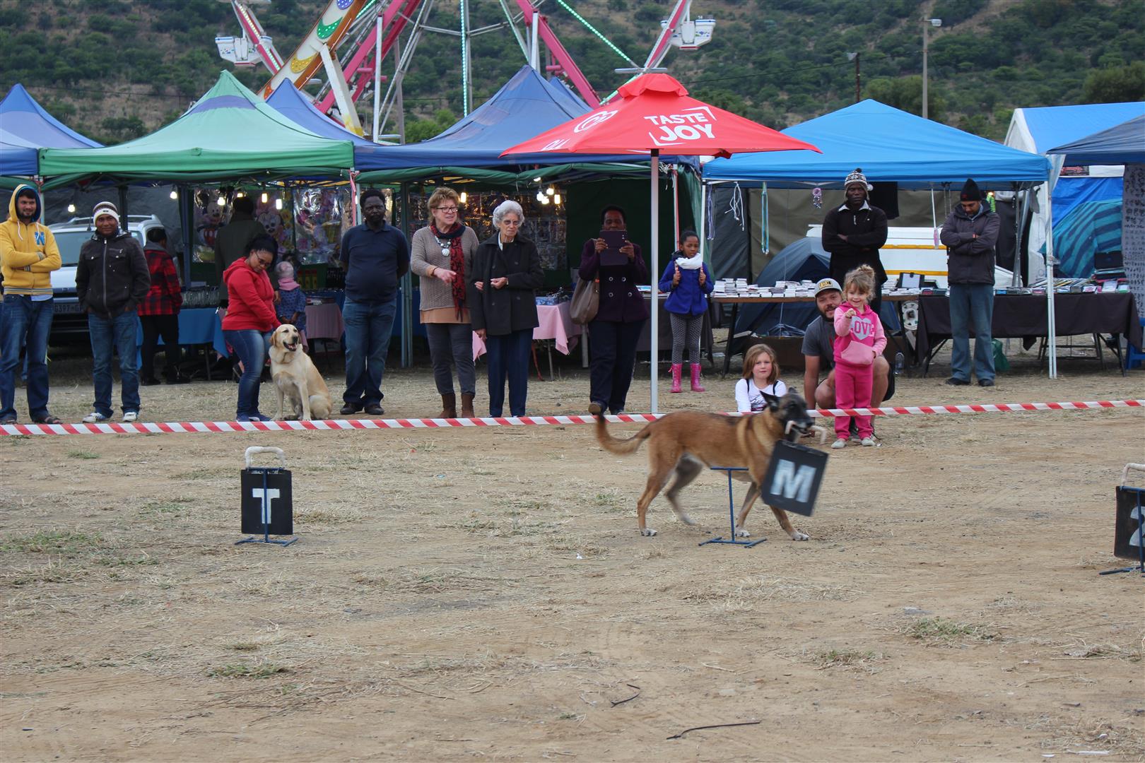 K9 Display Group at show grounds | Northern Natal News
