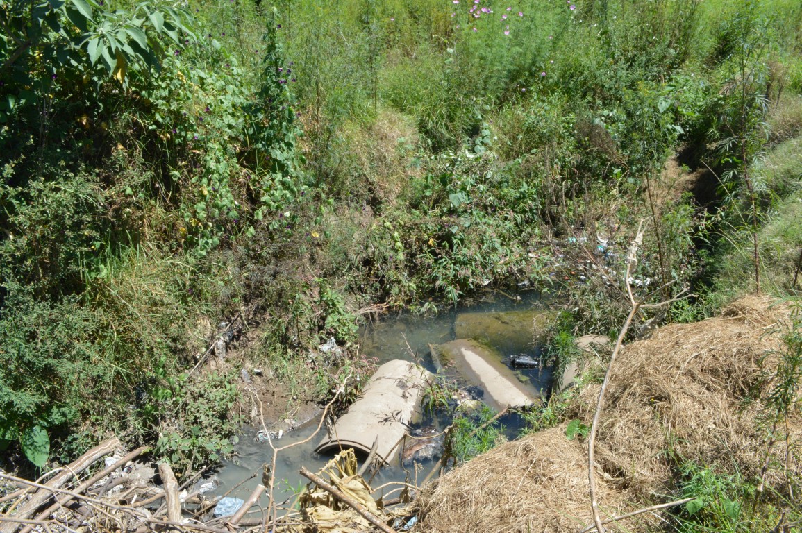 Toxic pit disgusts Gladstone Street residents | Northern Natal News