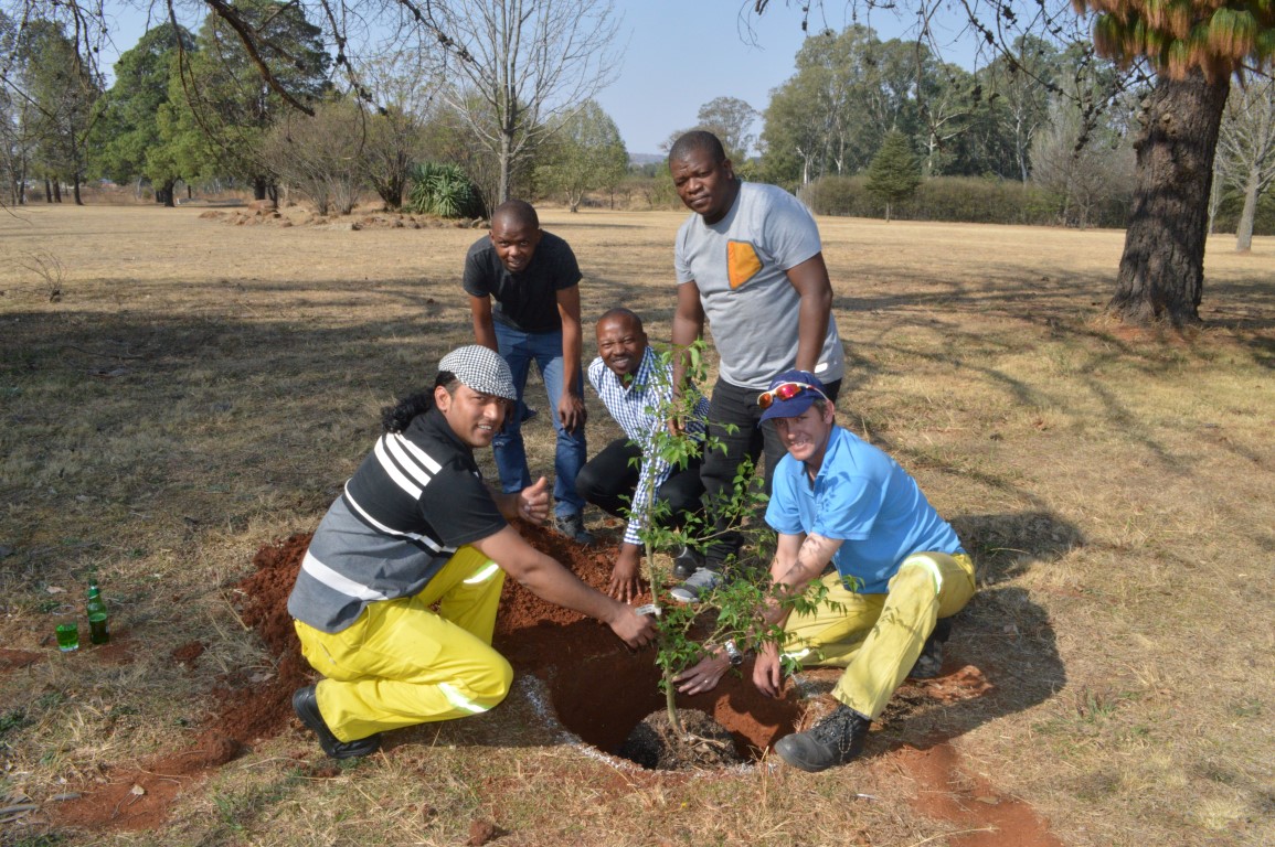 Buffalo Coal plants for the future to mark Arbor Month | Northern Natal ...