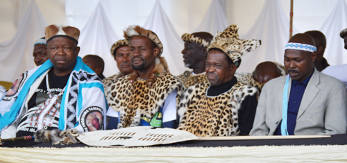 GALLERY: A royal affair at Hlubi nation celebration | Northern Natal News