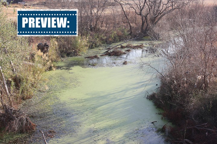 MUST READ: Can the Ncandu River be saved from death? | Northern Natal News